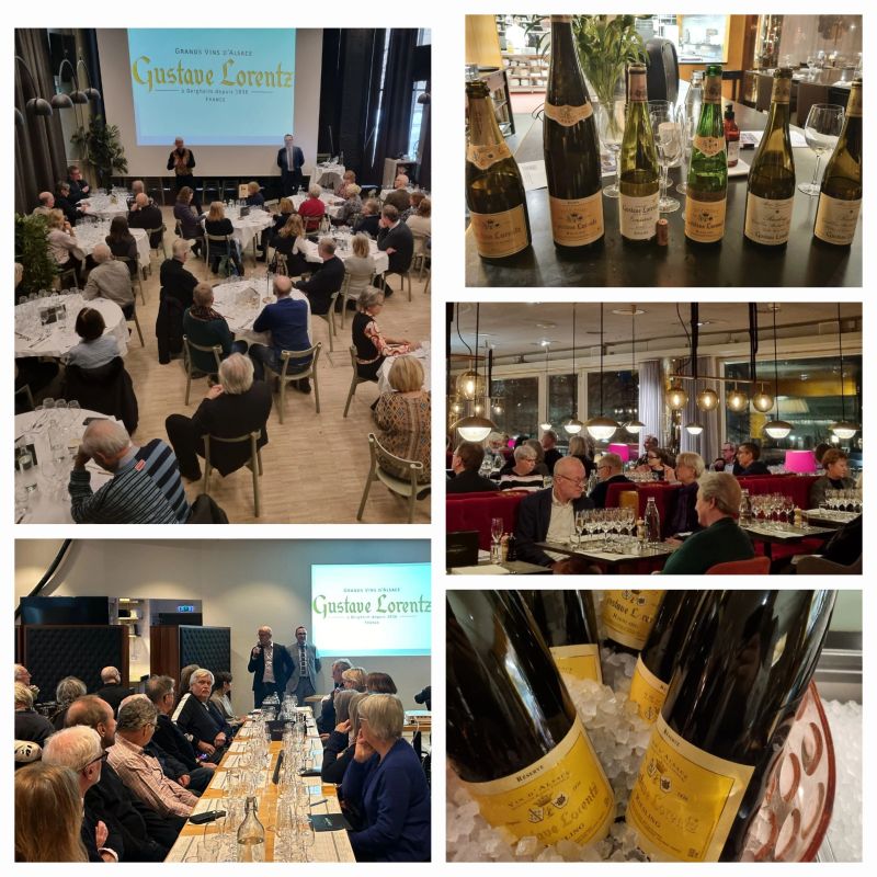 Alex Schuster DipWSET on LinkedIn: #alsace Alex Schuster DipWSET on LinkedIn: #alsace