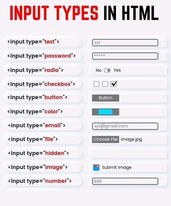Anaish kumar on LinkedIn: #html #inputs #css #frontenddeveloper Anaish kumar on LinkedIn: #html #inputs #css #frontenddeveloper