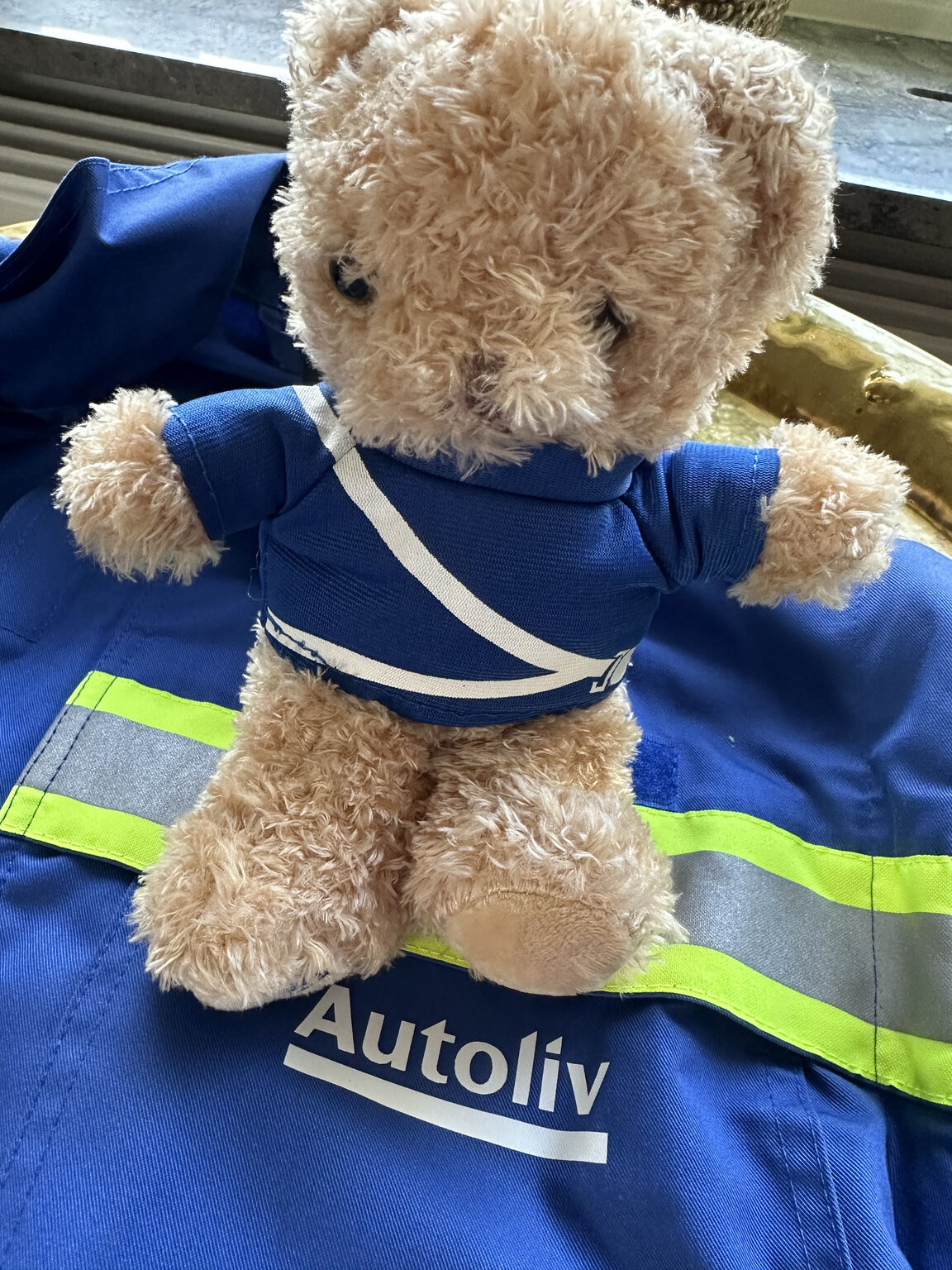 Gabriella Etemad (Ekelund) ♦️ on LinkedIn: #savingmorelives #autoliv70years Gabriella Etemad (Ekelund) ♦️ on LinkedIn: #savingmorelives #autoliv70years