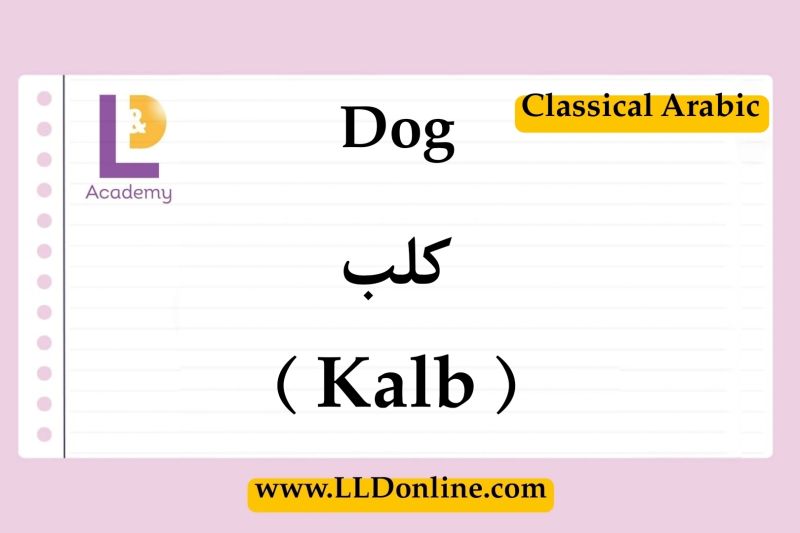 Learn Languages and Dialects on LinkedIn: #learnclassicalarabic # ... Learn Languages and Dialects on LinkedIn: #learnclassicalarabic # ...