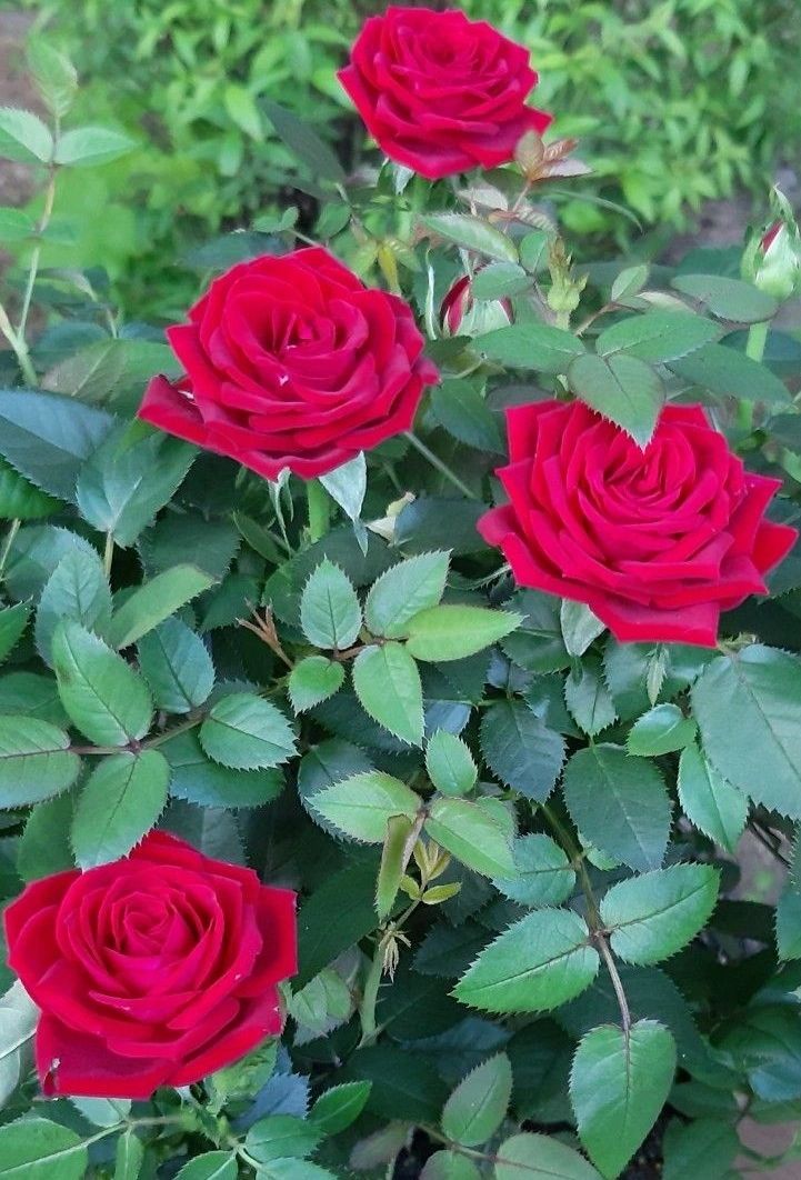 Muhammad Bilal posted on LinkedIn Muhammad Bilal posted on LinkedIn