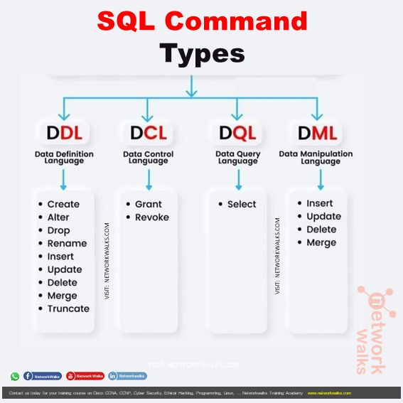 NETWORKWALKS on LinkedIn: SQL Command Types NETWORKWALKS on LinkedIn: SQL Command Types