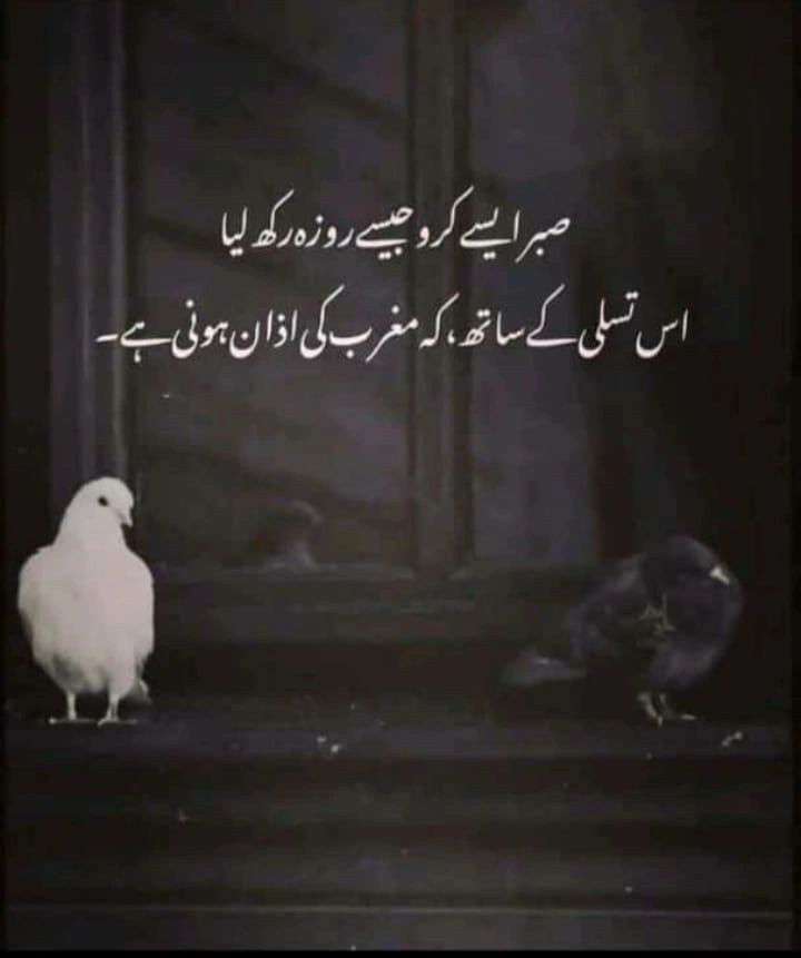 Afshan Khan posted on LinkedIn Afshan Khan posted on LinkedIn