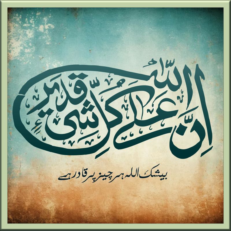 MUHAMMAD ADEEL posted on LinkedIn MUHAMMAD ADEEL posted on LinkedIn