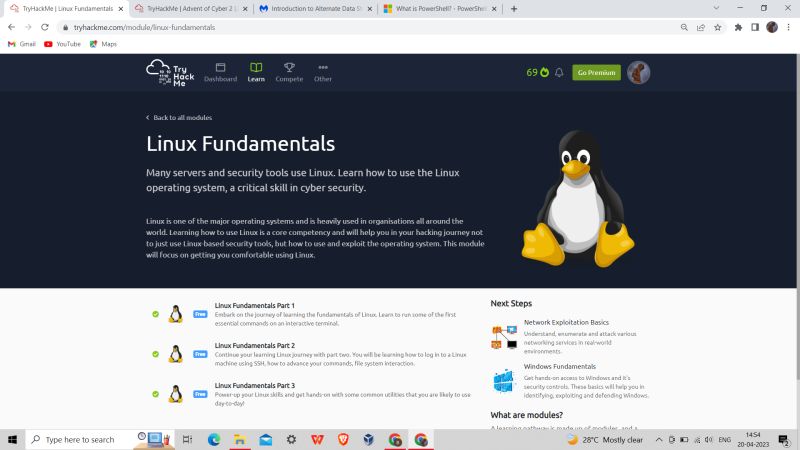 Prasanjit Bhoi on LinkedIn: #linux #help #tryhackme #linuxfoundation Prasanjit Bhoi on LinkedIn: #linux #help #tryhackme #linuxfoundation