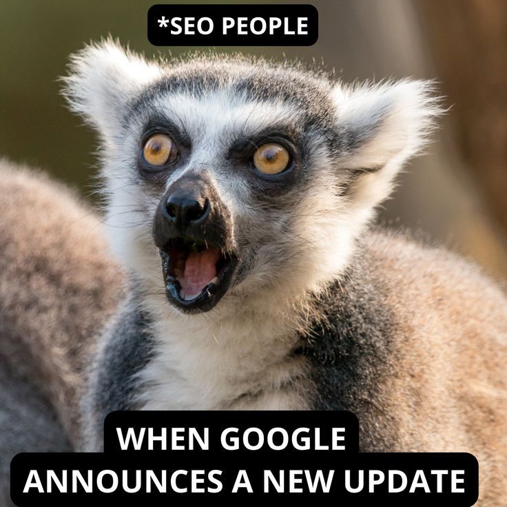 SEHRISH KHAN on LinkedIn: #seo SEHRISH KHAN on LinkedIn: #seo