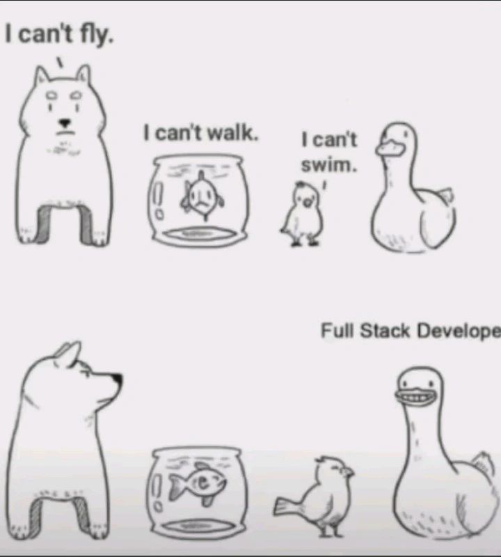 Hafiz Mannan Siddiqui on LinkedIn: Full stack Developer😂🔥 Hafiz Mannan Siddiqui on LinkedIn: Full stack Developer😂🔥
