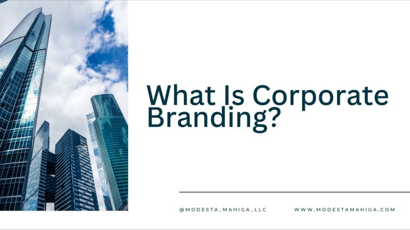 Modesta Mahiga LLC on LinkedIn: #emergingmarkets #branding #marketing # ... Modesta Mahiga LLC on LinkedIn: #emergingmarkets #branding #marketing # ...