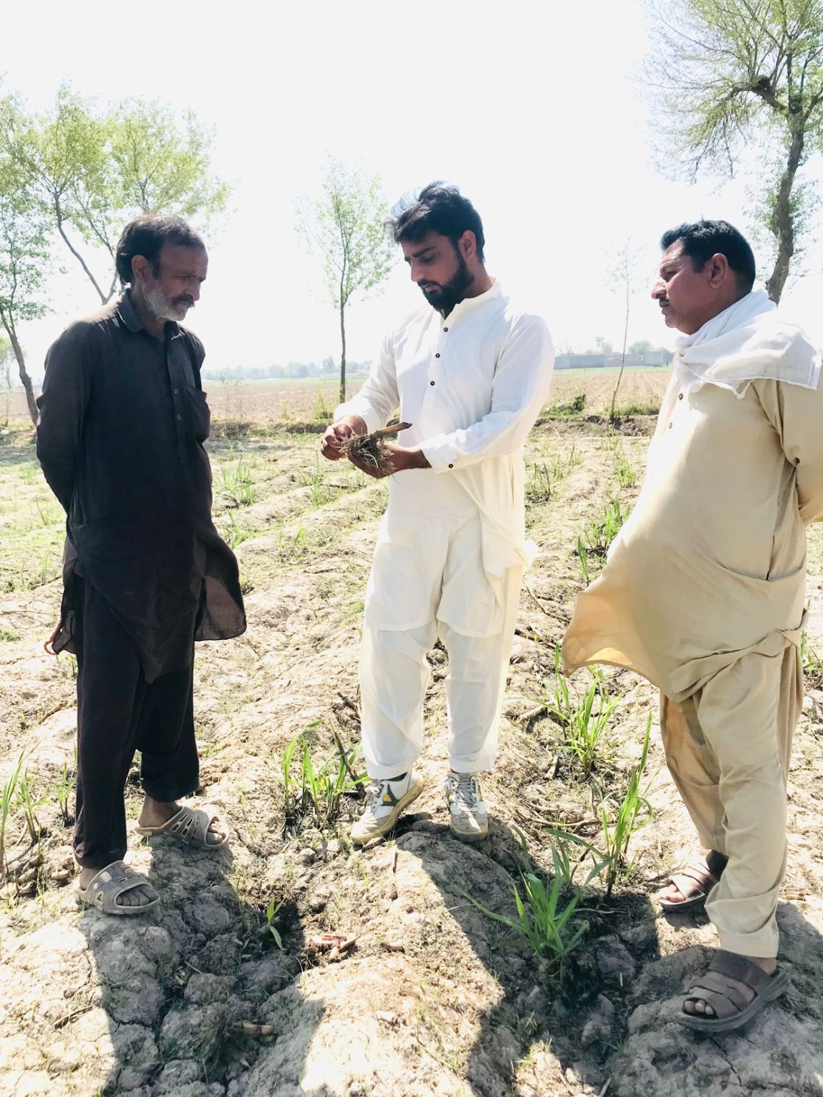Shahid Mehmood Khan on LinkedIn: #jdwunit Shahid Mehmood Khan on LinkedIn: #jdwunit