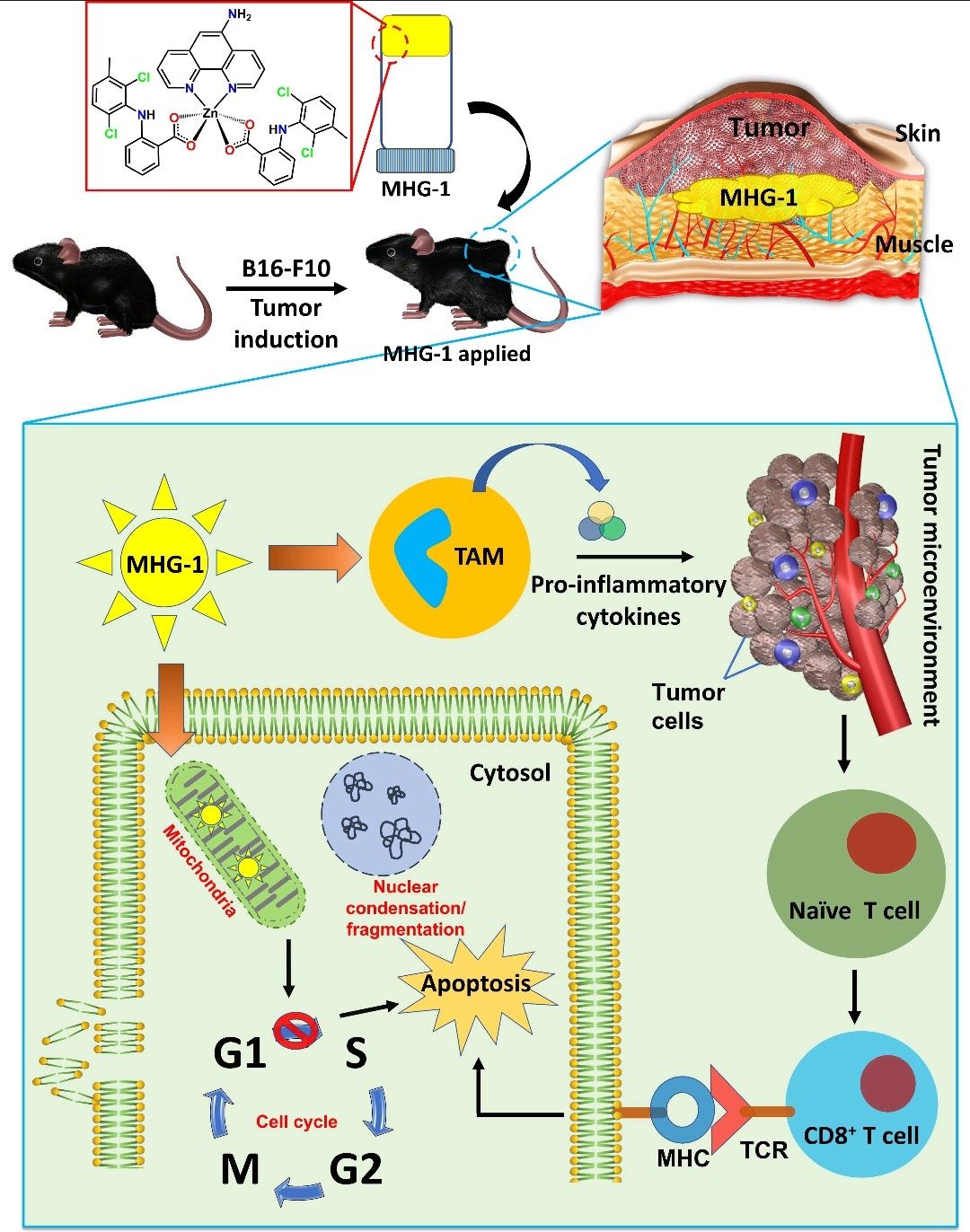 Sourabh Bera, Ph.D. on LinkedIn: #hydrogel #injectable #sxrd # ... Sourabh Bera, Ph.D. on LinkedIn: #hydrogel #injectable #sxrd # ...