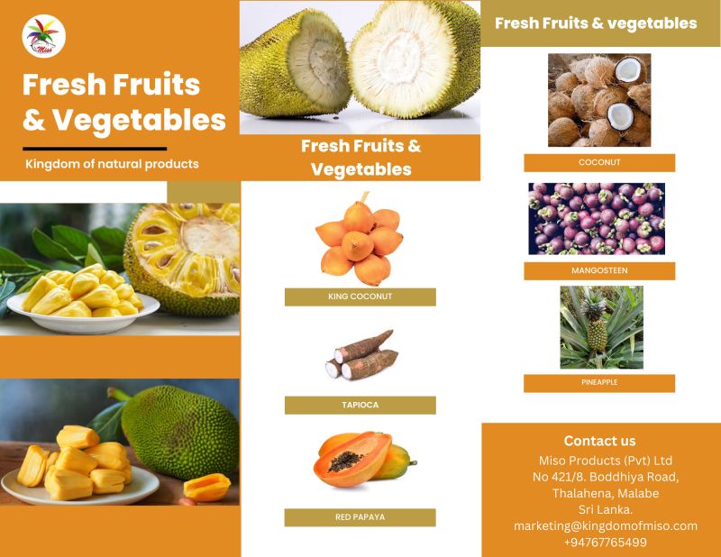 Miso Products (Pvt) Ltd on LinkedIn: #coir #cocopeat #coconut #huskies ... Miso Products (Pvt) Ltd on LinkedIn: #coir #cocopeat #coconut #huskies ...