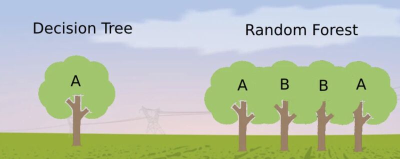 Coby Penso, PhD Candidate on LinkedIn: #majority #randomforests # ... Coby Penso, PhD Candidate on LinkedIn: #majority #randomforests # ...