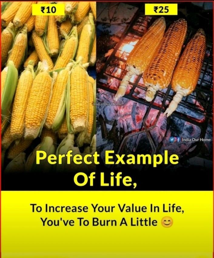Riya Sharma on LinkedIn: perfect example of life Riya Sharma on LinkedIn: perfect example of life