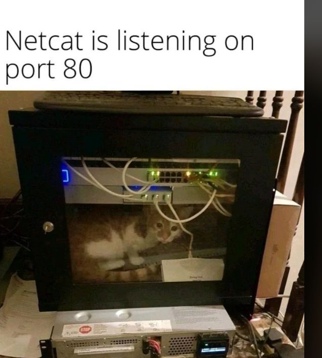 Jairaj Raman on LinkedIn: #netcat #networking #cybersecurity #pentesting Jairaj Raman on LinkedIn: #netcat #networking #cybersecurity #pentesting