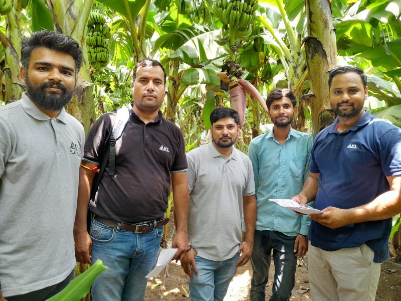 Harendra Singh on LinkedIn: #icl #banana Harendra Singh on LinkedIn: #icl #banana