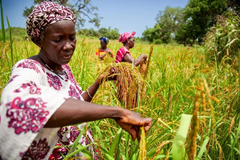 Adeyemi Matthew on LinkedIn: RDC: AfDB Group gGrants $260m Loan to ... Adeyemi Matthew on LinkedIn: RDC: AfDB Group gGrants $260m Loan to ...