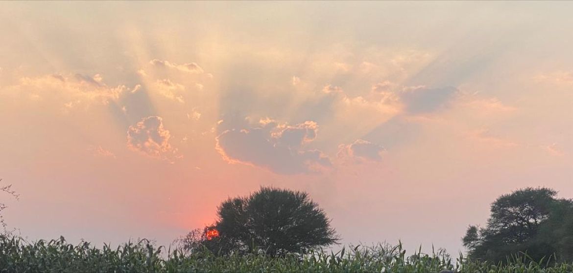 Dolly Parikh on LinkedIn: Adapting, evolving, rejunevating, nourishing ... Dolly Parikh on LinkedIn: Adapting, evolving, rejunevating, nourishing ...