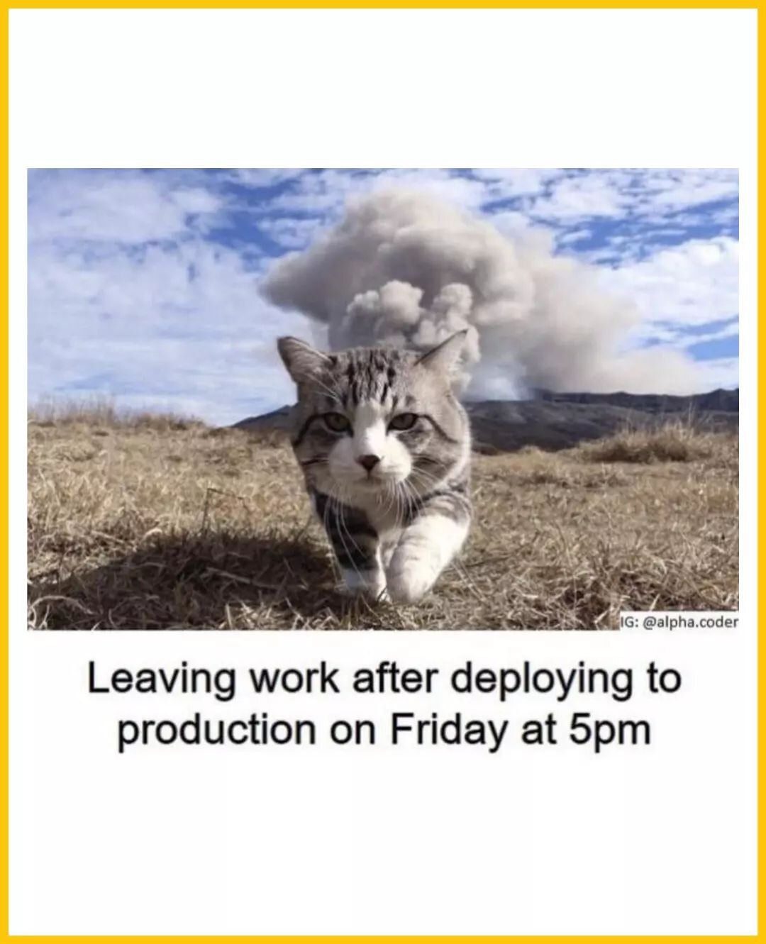 Xnetics on LinkedIn: #programmingmemes #programming #programminglife # ... Xnetics on LinkedIn: #programmingmemes #programming #programminglife # ...
