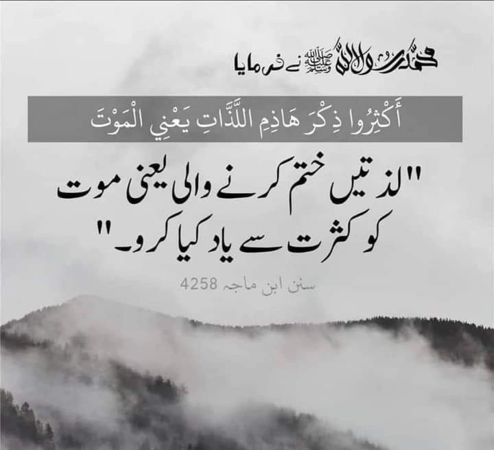Ameer Hamza Hashmi posted on LinkedIn Ameer Hamza Hashmi posted on LinkedIn