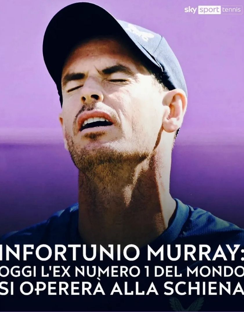 Fernando Meligeni no LinkedIn: Ame seu trabalho como o Murray ama o ... Fernando Meligeni no LinkedIn: Ame seu trabalho como o Murray ama o ...
