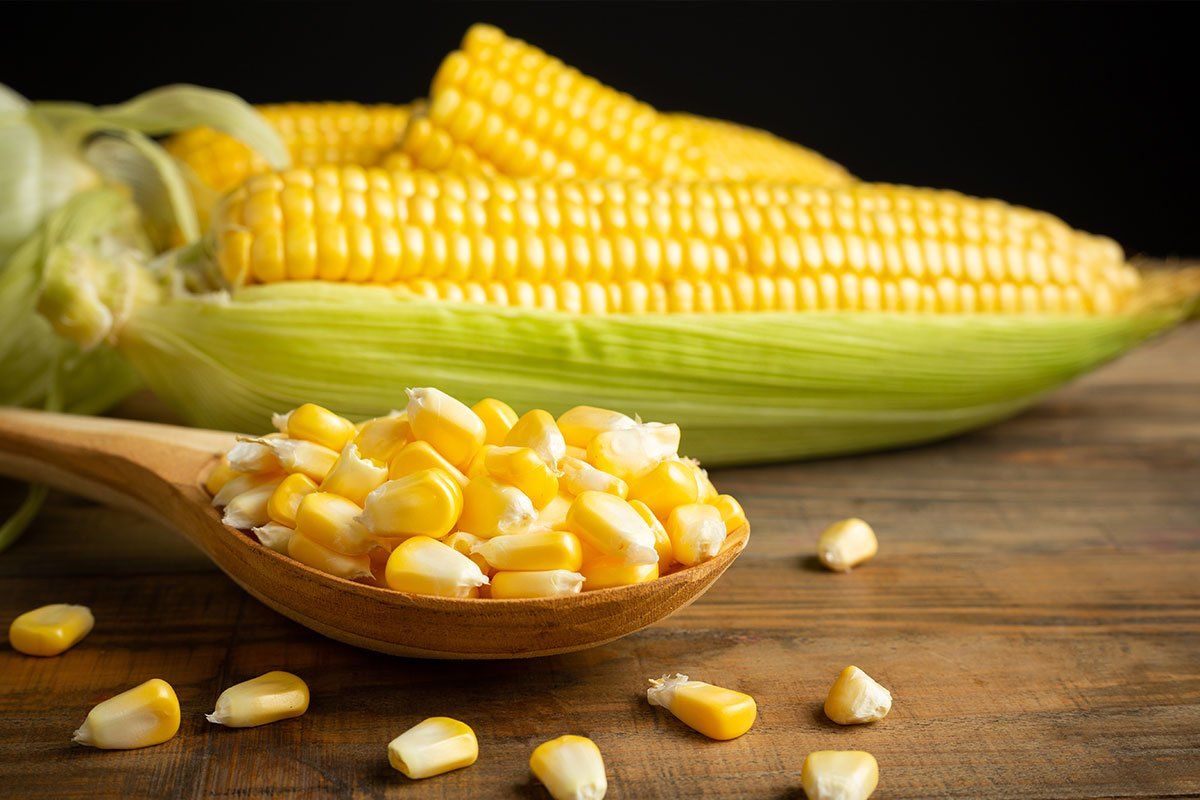Areeba Nazir on LinkedIn: #food #corn #demand #foodandbeverage #growth ... Areeba Nazir on LinkedIn: #food #corn #demand #foodandbeverage #growth ...