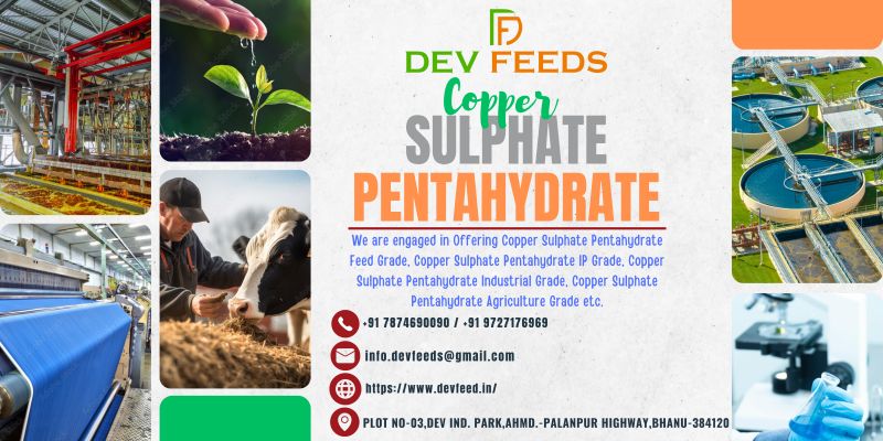 DEV FEEDS on LinkedIn: GROW YOUR BUSINESS WITH US. More info : info ... DEV FEEDS on LinkedIn: GROW YOUR BUSINESS WITH US. More info : info ...