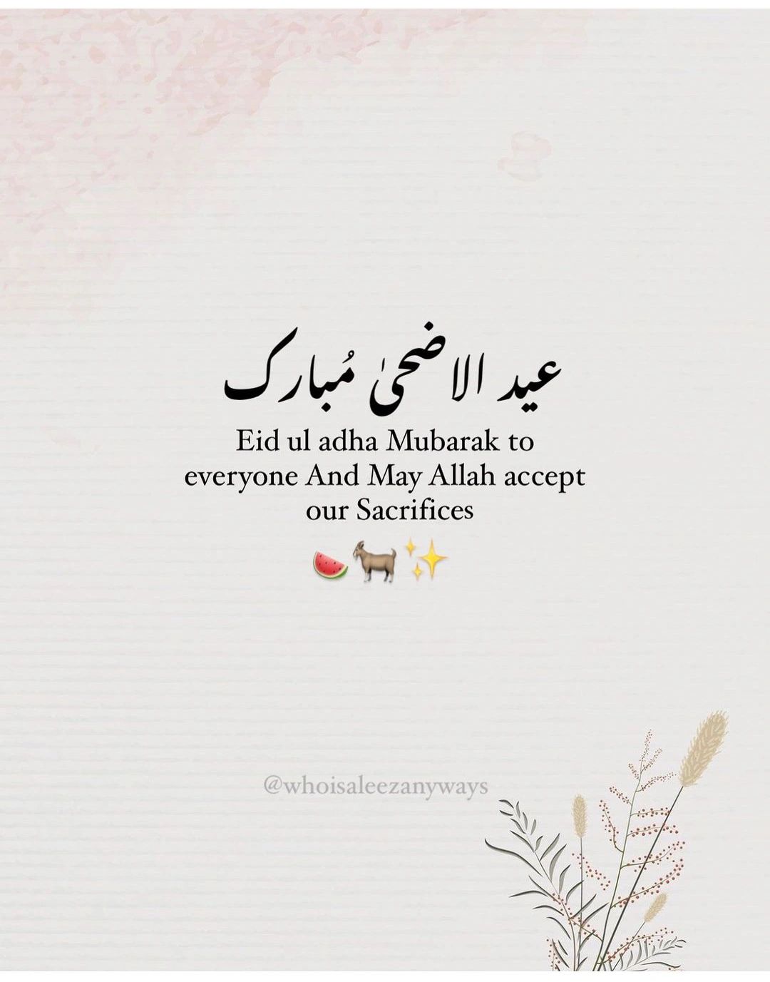 Rao Rehmat Qadeer on LinkedIn: #eid #eid2024 #bakraeid #eidulada # ... Rao Rehmat Qadeer on LinkedIn: #eid #eid2024 #bakraeid #eidulada # ...