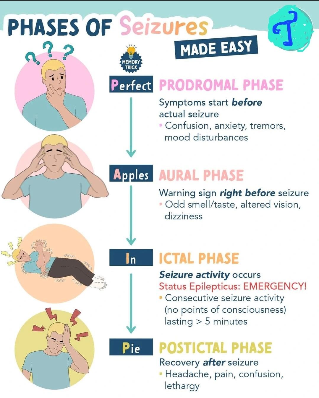 Dr. Tarun Shukla on LinkedIn: Four Phases of Seizures Dr. Tarun Shukla on LinkedIn: Four Phases of Seizures