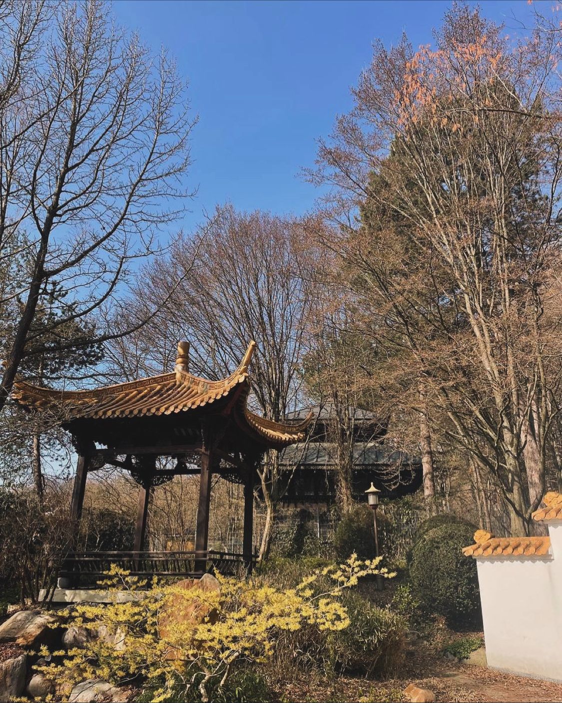 Andrei Melnikov on LinkedIn: It must always be a balance like infinity ... Andrei Melnikov on LinkedIn: It must always be a balance like infinity ...