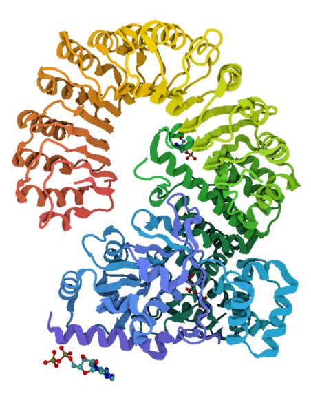 Debajyoti Dutta on LinkedIn: #bacteria #phage Debajyoti Dutta on LinkedIn: #bacteria #phage