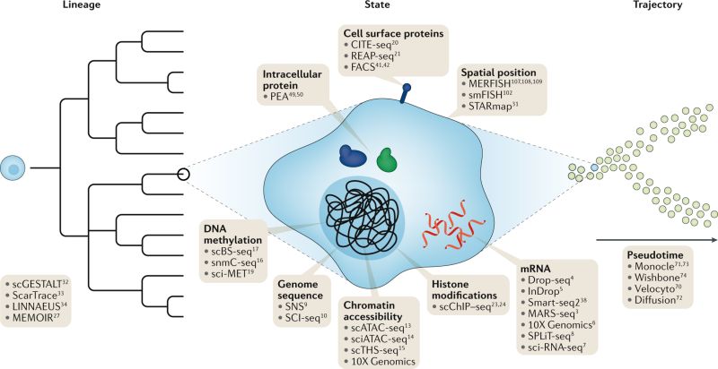 Arpita Saha on LinkedIn: Single Cell Genomics & Proteomics: Unlocking ... Arpita Saha on LinkedIn: Single Cell Genomics & Proteomics: Unlocking ...