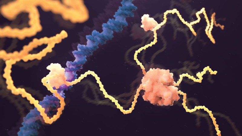 Tech 7G on LinkedIn: AlphaFold's AI protein-structure predictions have ... Tech 7G on LinkedIn: AlphaFold's AI protein-structure predictions have ...