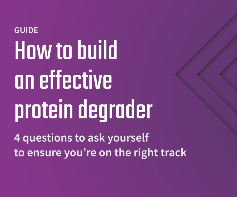 Martino Benvenuti on LinkedIn: How to build an effective protein degrader Martino Benvenuti on LinkedIn: How to build an effective protein degrader