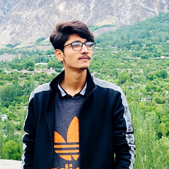 Saad Mustafa - Full Stack Web Developer - Techgoat | LinkedIn Saad Mustafa - Full Stack Web Developer - Techgoat | LinkedIn