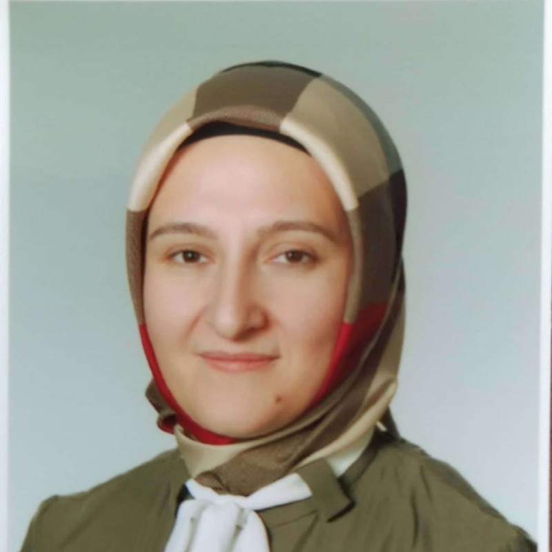 Ayse Saylam | LinkedIn Ayse Saylam | LinkedIn