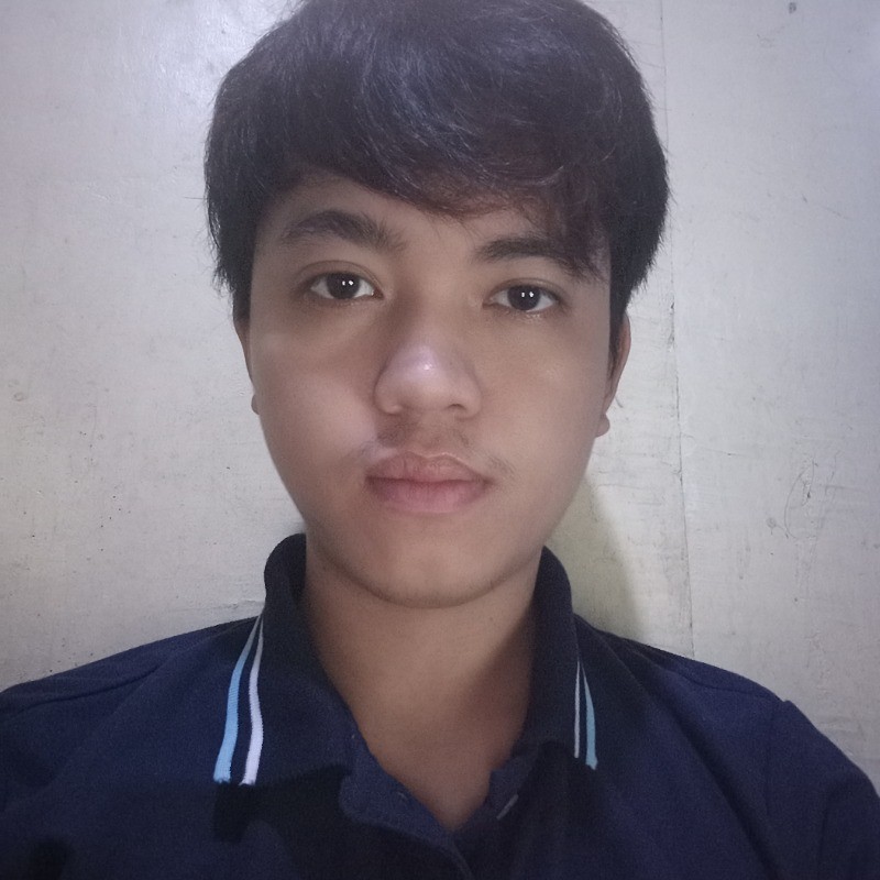 NIÑO JAMES LARAZO - Junior Web Developer - freeCodeCamp | LinkedIn NIÑO JAMES LARAZO - Junior Web Developer - freeCodeCamp | LinkedIn