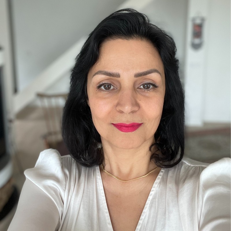 Monir modaresi - Accountant - Hedson Technologies | LinkedIn Monir modaresi - Accountant - Hedson Technologies | LinkedIn