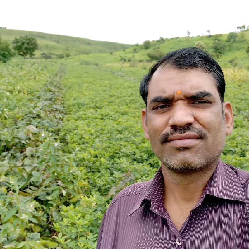 Anil Panmand - Purchaser - Pearson | LinkedIn Anil Panmand - Purchaser - Pearson | LinkedIn
