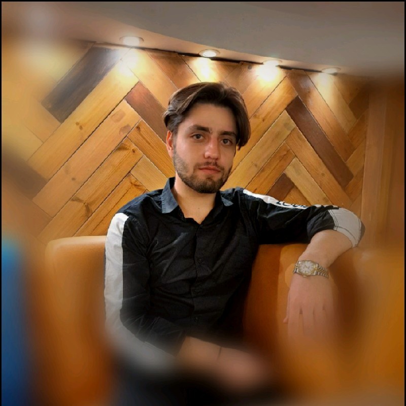 AMIR HOSSEIN Mousavi - Business Owner - Deloitte | LinkedIn AMIR HOSSEIN Mousavi - Business Owner - Deloitte | LinkedIn