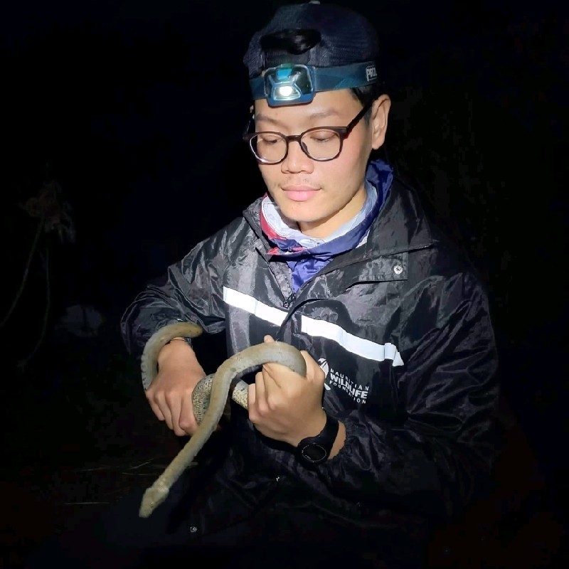 Law Yu Kam Ryan - Conservation Biologist - The Mauritian Wildlife ... Law Yu Kam Ryan - Conservation Biologist - The Mauritian Wildlife ...