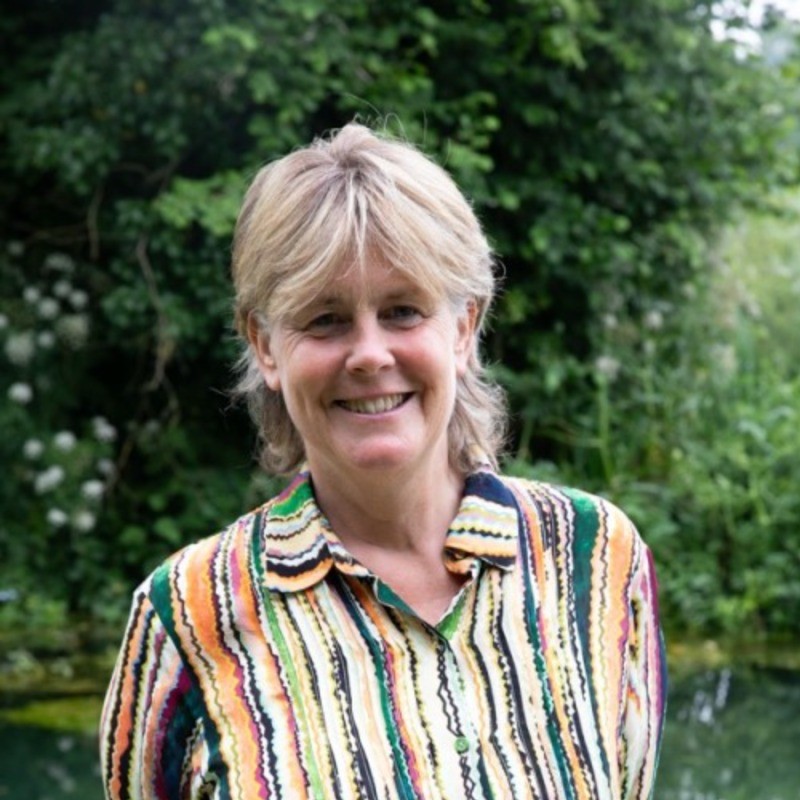 Julia Hailes - Solar Punk Visionary - Freelance | LinkedIn Julia Hailes - Solar Punk Visionary - Freelance | LinkedIn