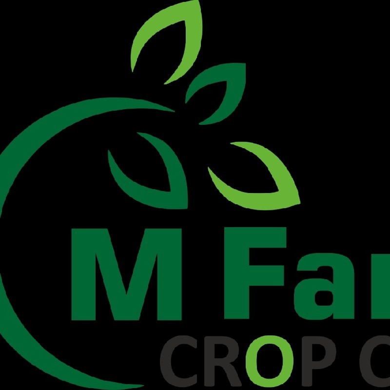 MOHIT METALIYA - Agrochemicals - Self-employed | LinkedIn MOHIT METALIYA - Agrochemicals - Self-employed | LinkedIn