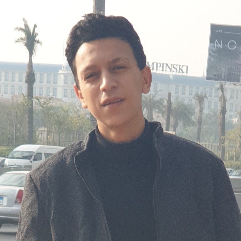 Elsayed Mohamed | Professional Profile | LinkedIn Elsayed Mohamed | Professional Profile | LinkedIn