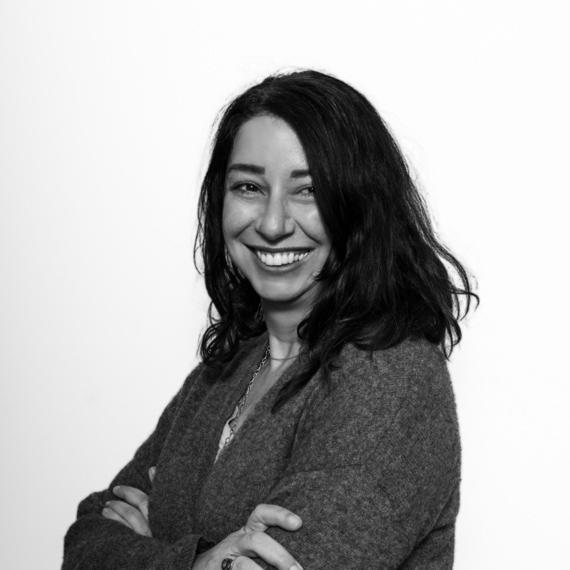 Shokraneh Minovi - Partnerships & Strategy - World Bank Group | LinkedIn Shokraneh Minovi - Partnerships & Strategy - World Bank Group | LinkedIn