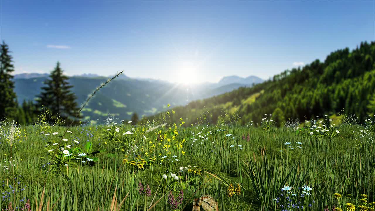 Muhammad Suleman on LinkedIn: Recent Animation Project Muhammad Suleman on LinkedIn: Recent Animation Project