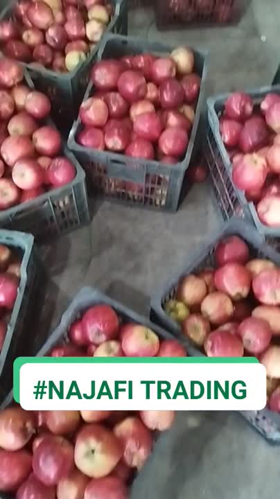 Masumeh Najafi on LinkedIn: Red Apple πππππ Best quality π―π―π―π― custom ... Masumeh Najafi on LinkedIn: Red Apple πππππ Best quality π―π―π―π― custom ...