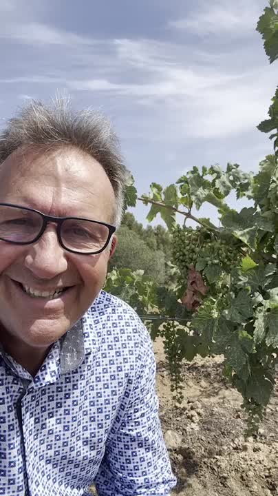 Mark Francis on LinkedIn: How can the same grape from the same vineyard ... Mark Francis on LinkedIn: How can the same grape from the same vineyard ...