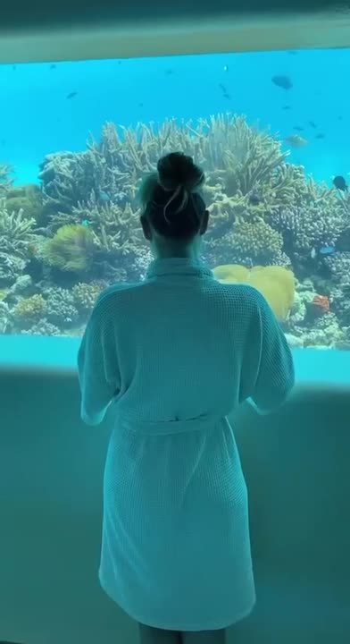 Anzar Abdul Kareem on LinkedIn: Maldives Tourism with Anzar Abdul ... Anzar Abdul Kareem on LinkedIn: Maldives Tourism with Anzar Abdul ...