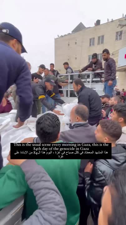 Mohammad Hammad on LinkedIn: Gaza Mohammad Hammad on LinkedIn: Gaza