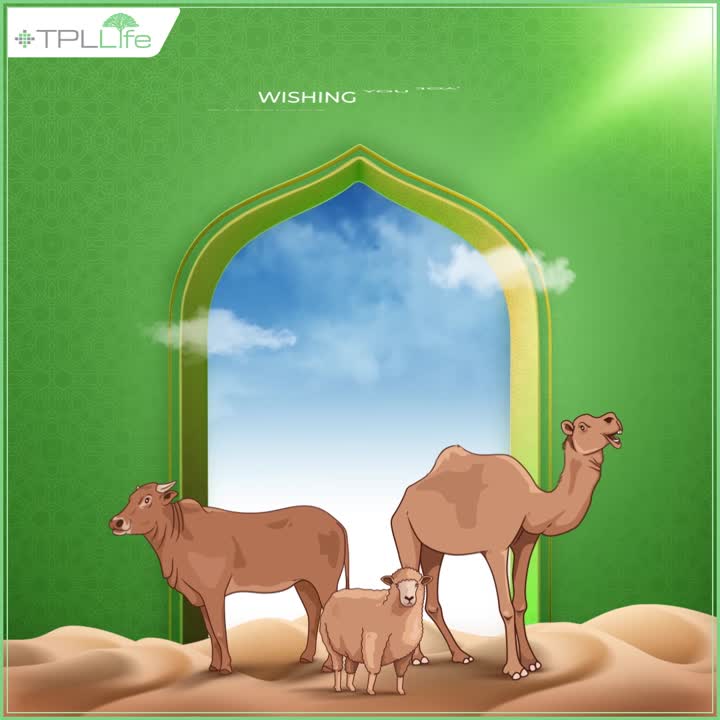 TPL Life Insurance Limited on LinkedIn: TPL Life | Eid ul Adha TPL Life Insurance Limited on LinkedIn: TPL Life | Eid ul Adha
